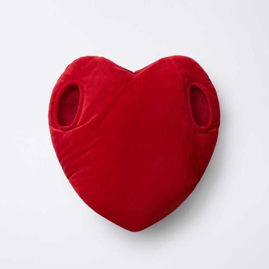 VELVET HEART COSTUME | Finds Clothing